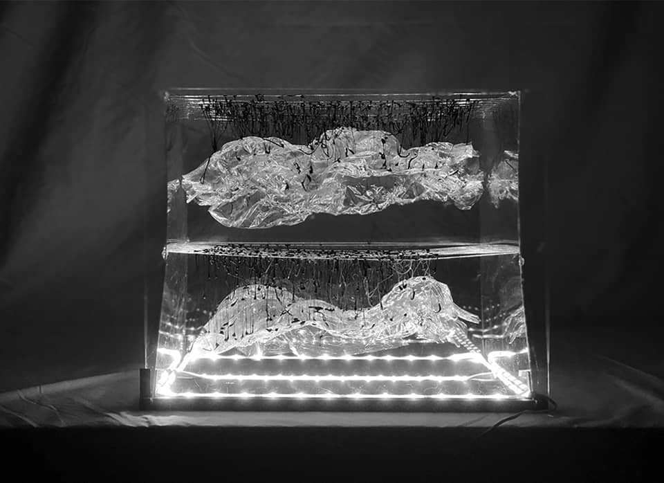 A Wall In A Box – College of Architecture, Design and Construction