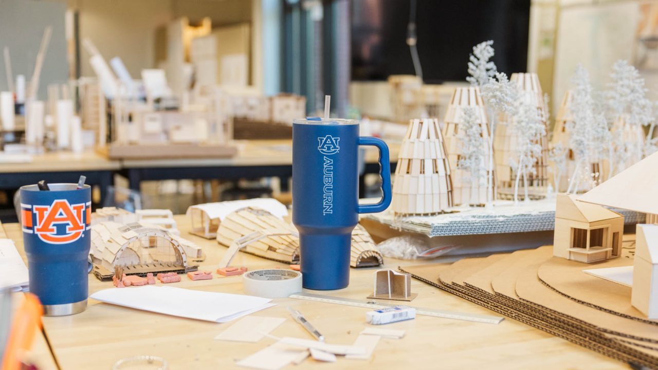 BSCI – College of Architecture, Design and Construction